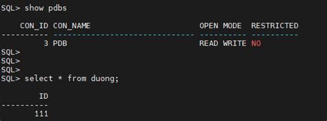 Point In Time Recovery Of Pdb Database Multitenant Datalinksvn