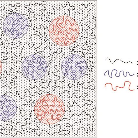 Illustration Of Silicone Copolymers Prepared By Phase Separation Of
