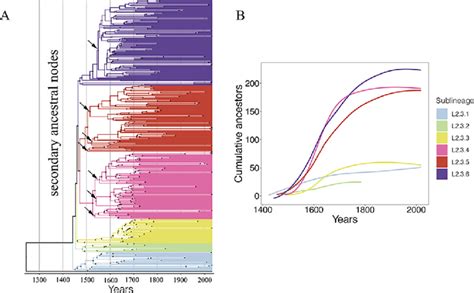 Accumulation Of Secondary Ancestral Nodes A A Bayesian Estimated Download Scientific Diagram
