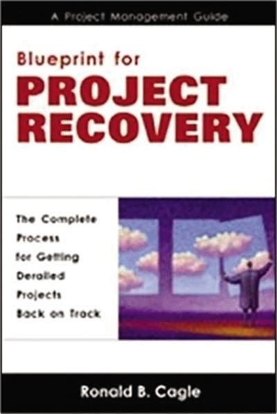 Blueprint For Project Recovery A Project Management Guide The Complete Process For Getting