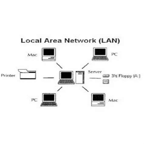 LAN Networking Services In India