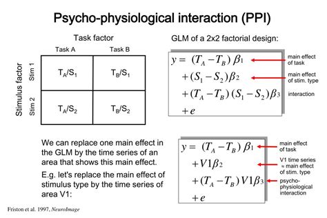 Ppt Models Of Effective Connectivity And Dynamic Causal Modelling Dcm