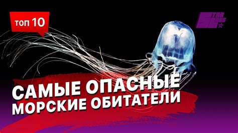Самые опасные морские обитатели - YouTube