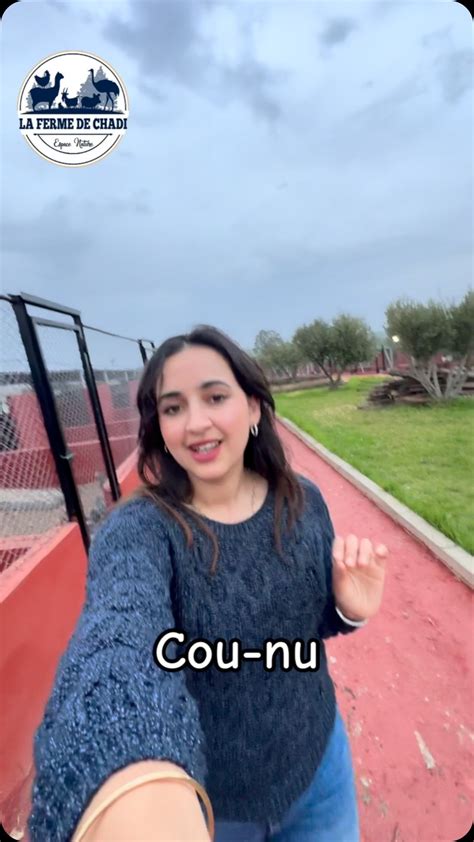 La Ferme De Chadi La Ferme De Chadi • Instagram Photos And Videos