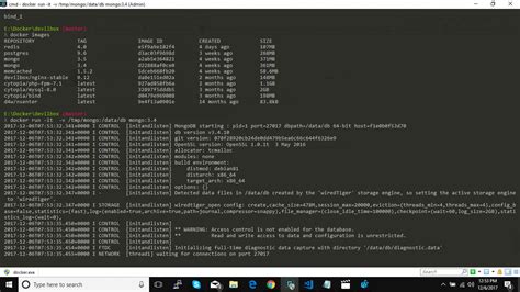 MongoDB Not Starting Issue Cytopia Devilbox GitHub