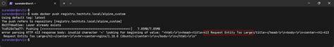 Private Docker Registry Setup 4sysops