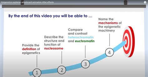 Animation Based Projects