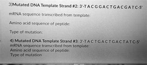 Mutated Dna Template Strand 2 3 Tacggactgacgatc 5 Mrna Sequence