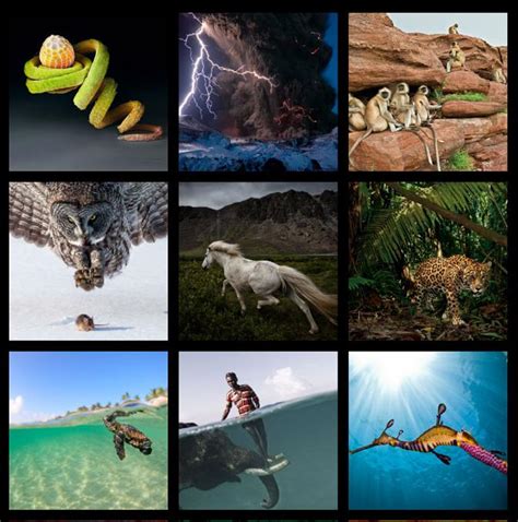 image need all the pictures of same size in gridview android stack