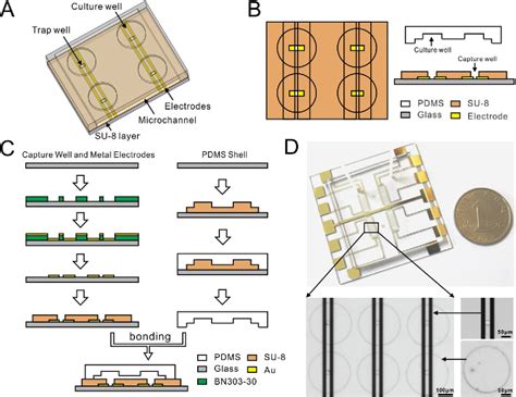 Figure 1 From Highly Integrated Microfluidic Device For Cell Pairing Fusion And Culture