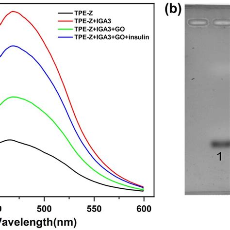 A Feasibility Analysis Of The Fluorescence Aptasensor For Insulin