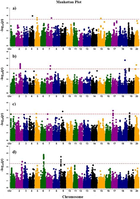 Manhattan Plot Of −log 10 P Vs Chromosomal Position Of Download
