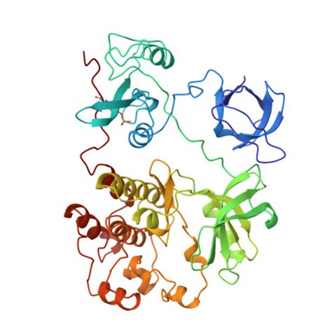 Rcsb Pdb 2src Crystal Structure Of Human Tyrosine Protein Kinase C