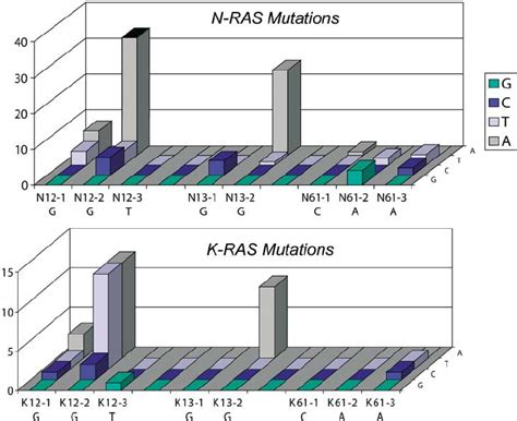 Mutation Spectrum In Codons 12 13 And 61 Of The N And K Ras Download Scientific Diagram