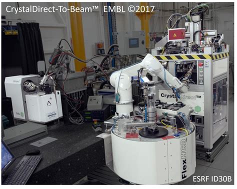 Instruments Papp Team