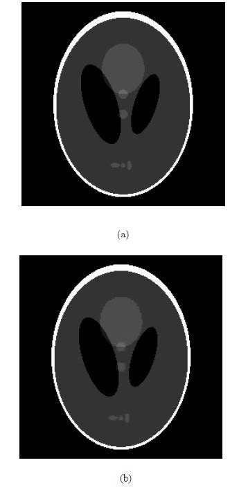 Approximation Of The Phantom Image A Original Phantom Image B Download Scientific Diagram