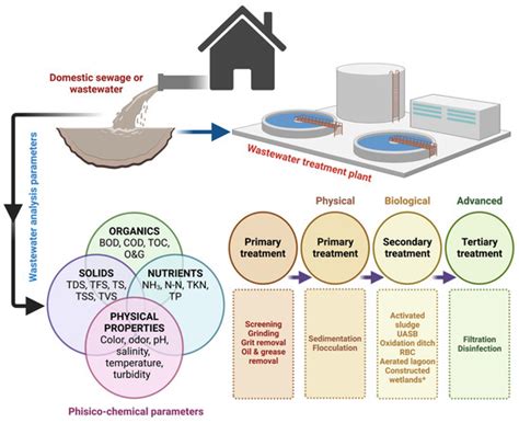 Water Free Full Text Integrated Phytobial Remediation Of Dissolved Pollutants From Domestic