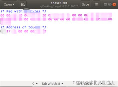 Csapp Attacklab实验csapp Attack Lab Csdn博客