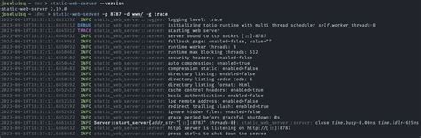 Static Web Server The Tiny Web Server That Just Gets It And It Is Free