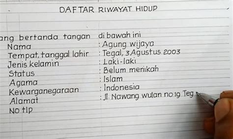 Contoh CV Tulis Tangan Yang Baik Dan Benar Untuk Fresh Graduate Hingga Berpengalaman