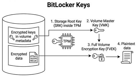 The Hardware Isolation Gap A Systematic Survey Of Bitlocker Forensics