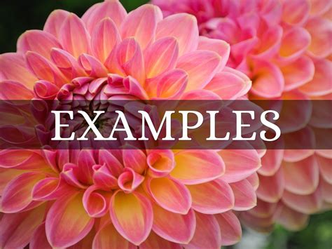 Antimetabole By Laura King