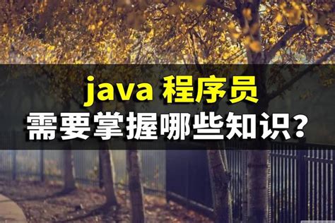 java 程序员需要掌握哪些知识？ 知乎