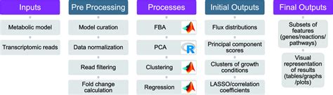 Inputs And Outputs For All Stages Of The Analysis In Step By Step Download Scientific Diagram