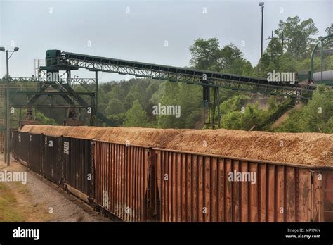 Making Chips American Tour Series Train Cars Filled To The Top With