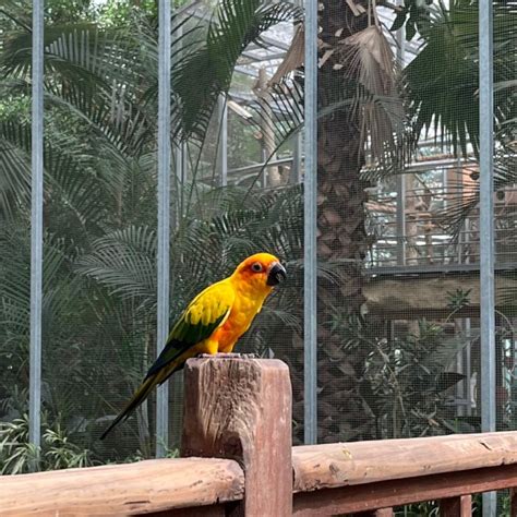 경주 버드파크 경주 볼거리 다양한 새들과 함께 교류하는 재미가 쏠쏠 네이버 블로그