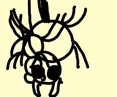 Spider Drawception