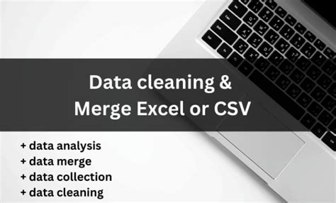 data cleaning organize and merging excel or csv data by rimshaiqbalwork