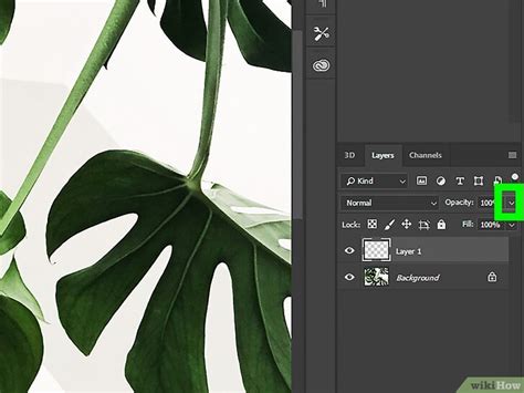How To Change Opacity In Adobe Photoshop