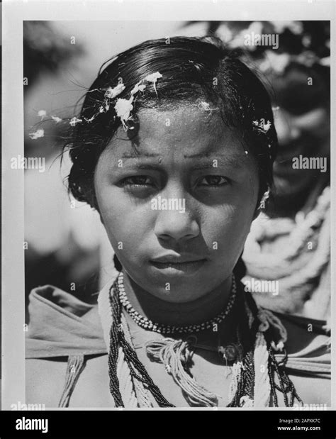 Wi West Indies Anefo London Series Surinamese Indian Girl Annotation