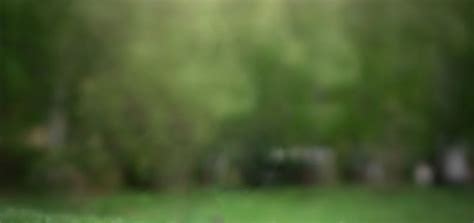 New To Antinol Antinol Australia