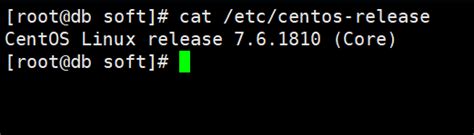 在 centos 7 系统上部署达梦 v8 数据库 csdn博客