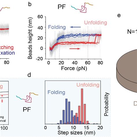 In Situ Magnetic Tweezer Based Single Molecule Approach A Download Scientific Diagram