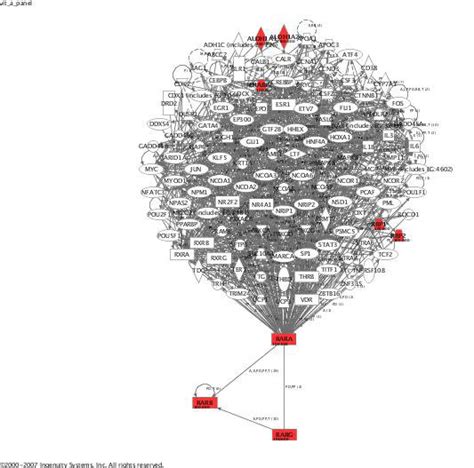 Figure S5 Ingenuity Pathways Analysis® Software Revealed A Large