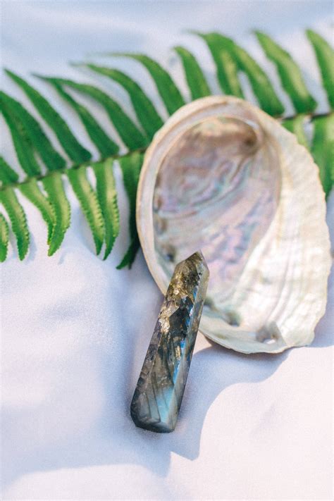 Download Vibrant Abalone Shell With Quartz Crystal Within Wallpaper