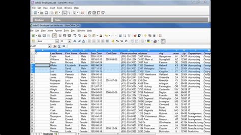 Libreoffice Base 03 Import Data From A Calc File Youtube