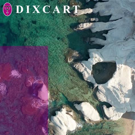 Katrien De Poorter Posted On Linkedin