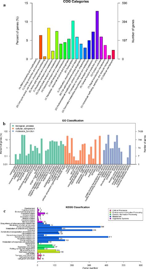 a cog annotation distribution histogram b go annotation distribution