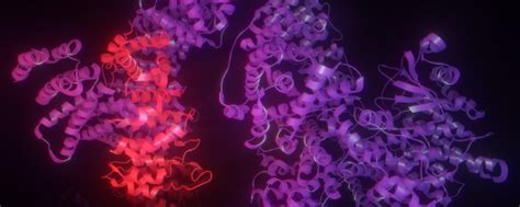 Cell Cycle Checkpoint Therapies Going After Cdk2 Atr Cancer Discovery News American