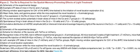 Figure 2 From A Visual Circuit Related To The Nucleus Reuniens For The Spatial Memory Promoting