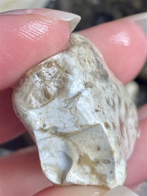 Teeny Tiny Scissors Lol Rfossils