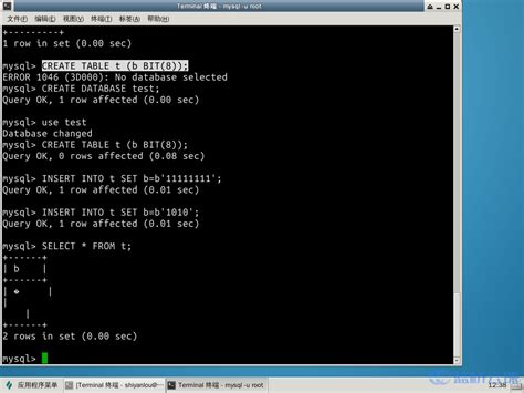 进阶篇 mysql 语言结构 蓝桥云课
