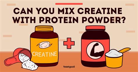 Mixing Creatine With Pre Workout Eoua Blog