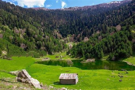 საქართველოს ბილიკებზე Added A New საქართველოს ბილიკებზე