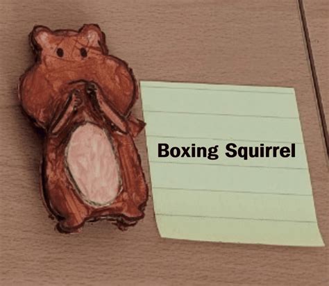 Boxing Squirrel Collection Opensea Boxing Squirrel Collection Opensea