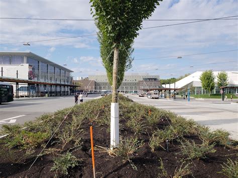 The New 22 Million Ubc Bus Loop Is Finally Complete Photos Urbanized